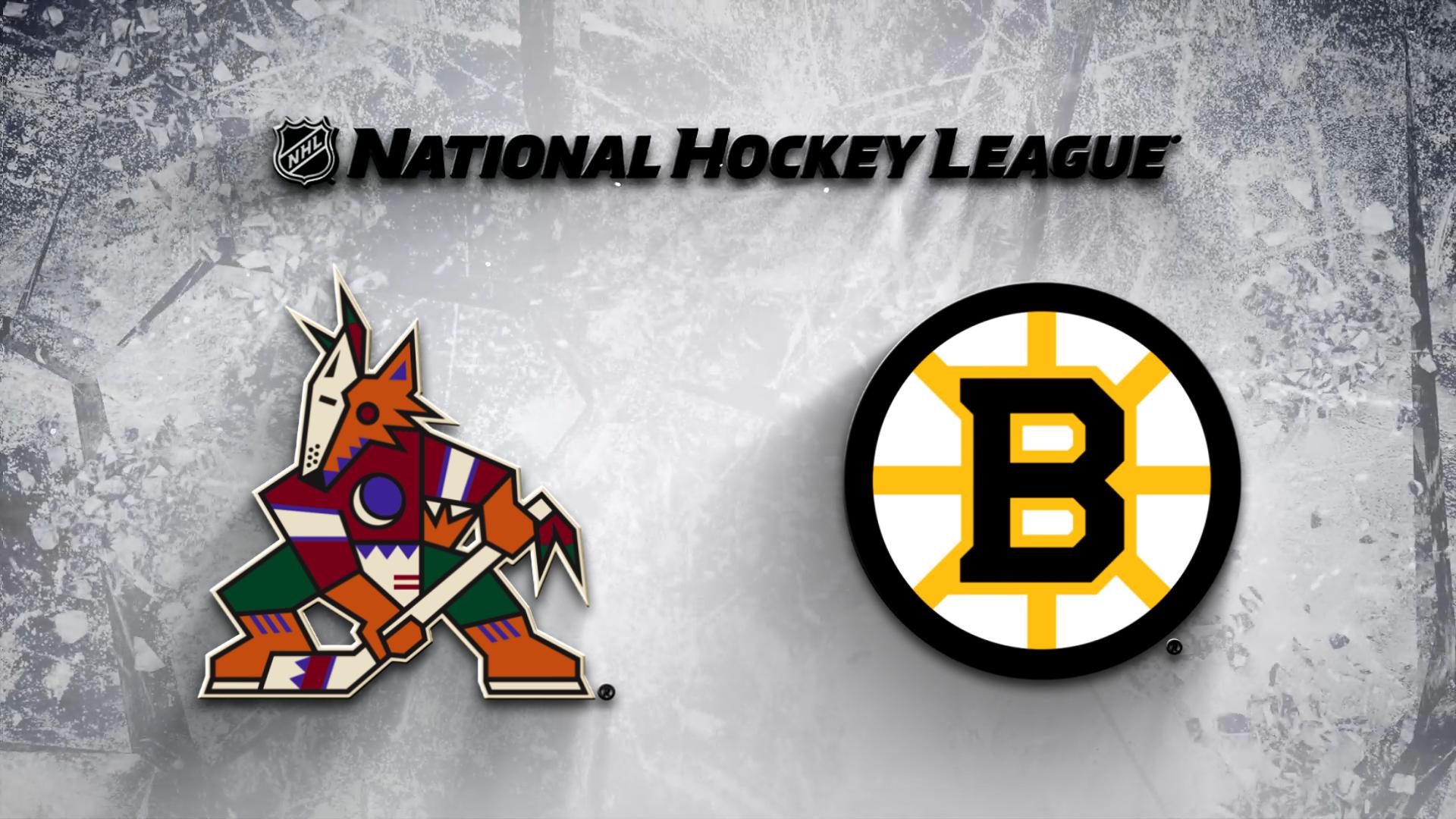 Boston Bruins vs. Arizona Coyotes