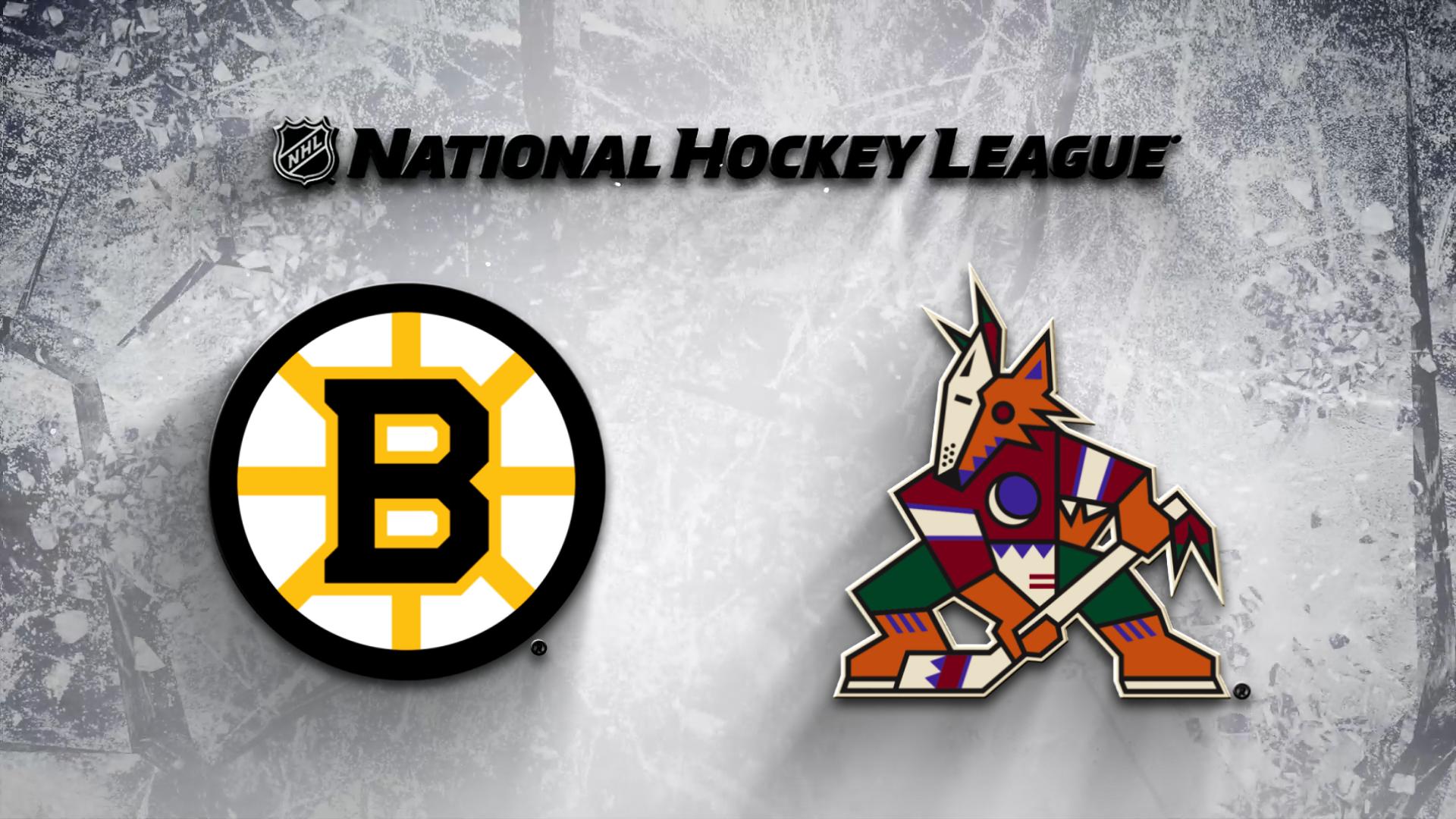 Arizona Coyotes vs. Boston Bruins
